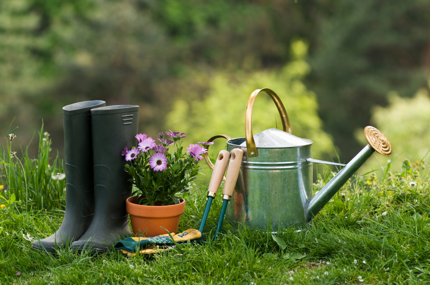Attrezzi per Giardino - Boschi di Sicilia
