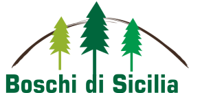Boschi di Sicilia - Tutti i Migliori Boschi di Sicilia