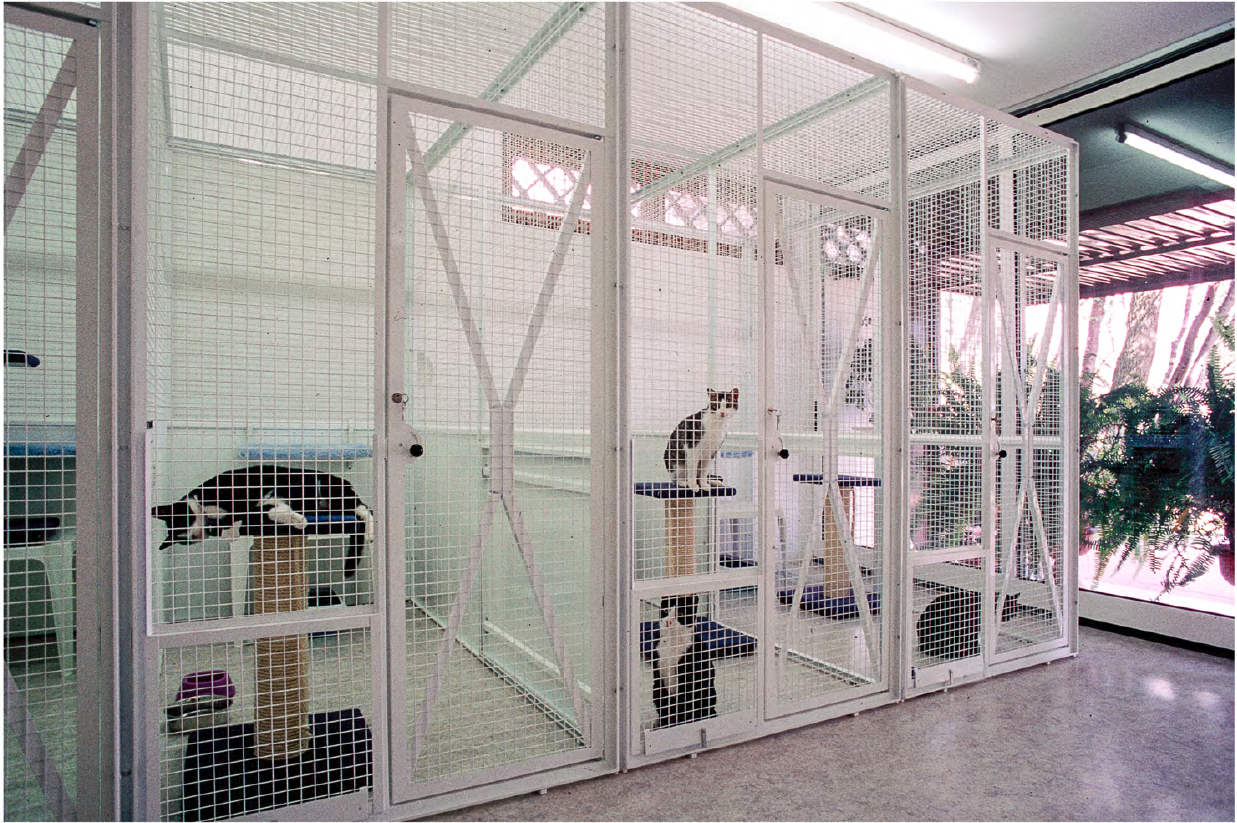 Gabbia per Gatto: Prezzi e Modelli di Gabbie per Gatti