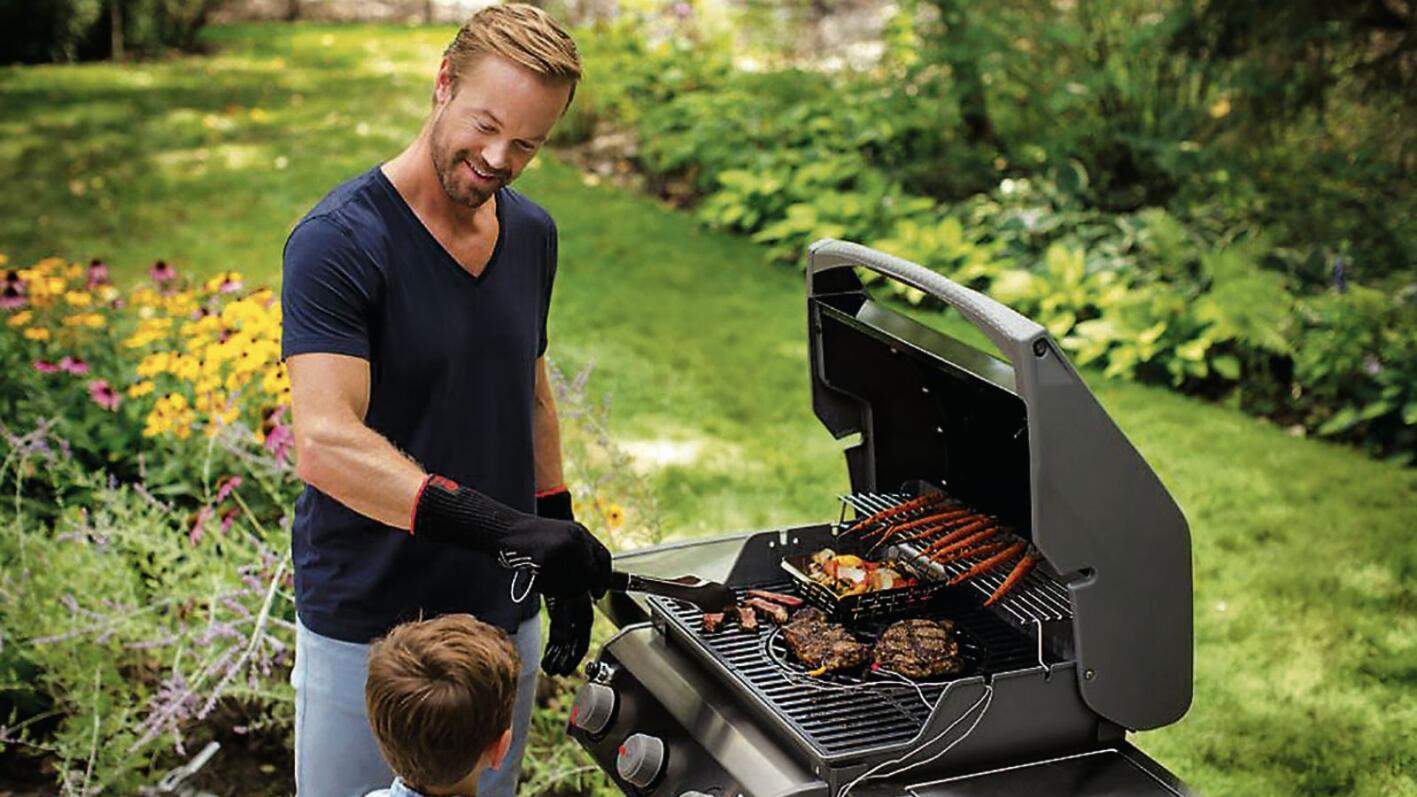 10 barbecue Professionali a Gas : idee per le nostre grigliate - Boschi ...